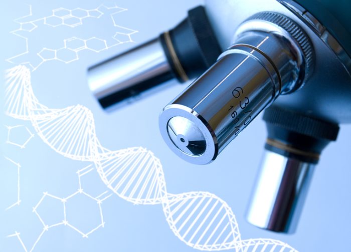 Skin Conditions Healing Process Professional Science Stem Cell Science